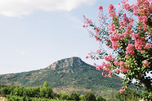 Le printemps en Languedoc, Coeur d'Hérault - Languedoc Cœur Hérault
